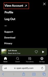 Cómo actualizar tu método de pago de Spotify - Pazusoft