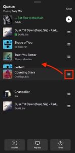 Spotify Play Queue Tips: How to Find, Edit, and Clear Your Queue - Pazusoft
